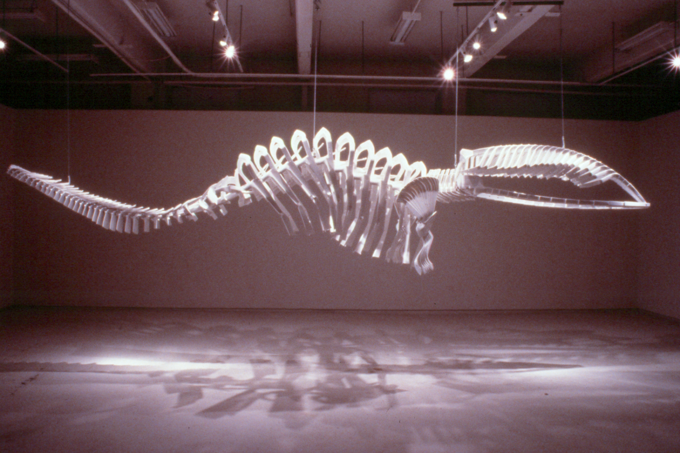 Shapeshifter | OR Gallery