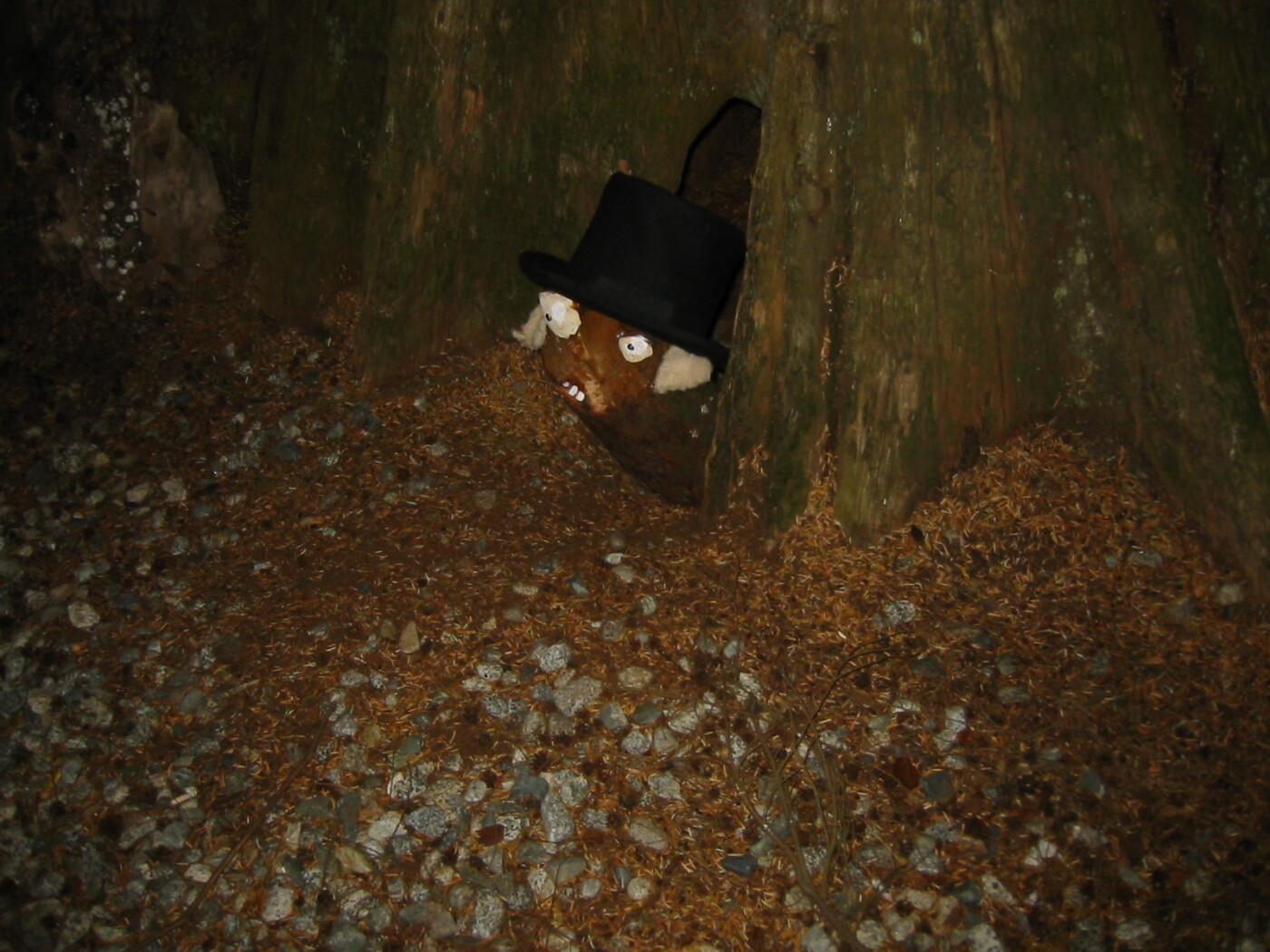 The Log Family | OR Gallery