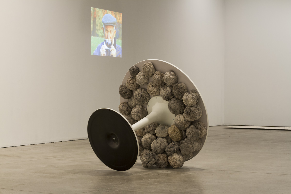 Death & Objects II | OR Gallery