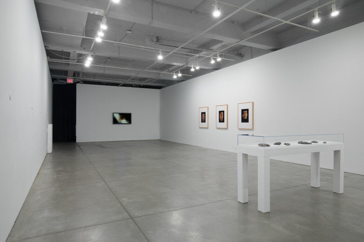 An Absolute Movement | OR Gallery