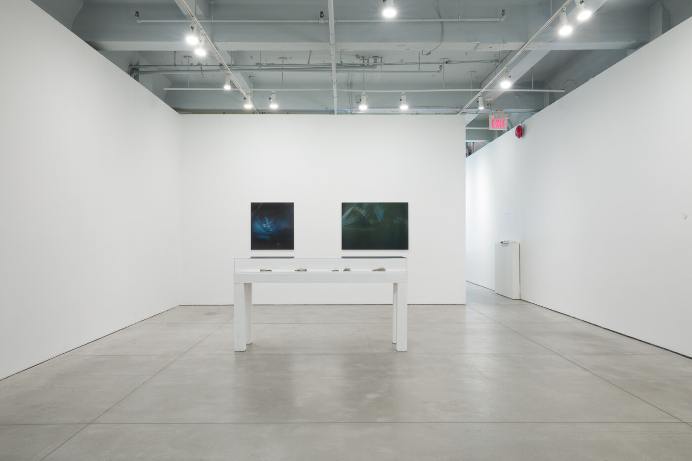 An Absolute Movement | OR Gallery