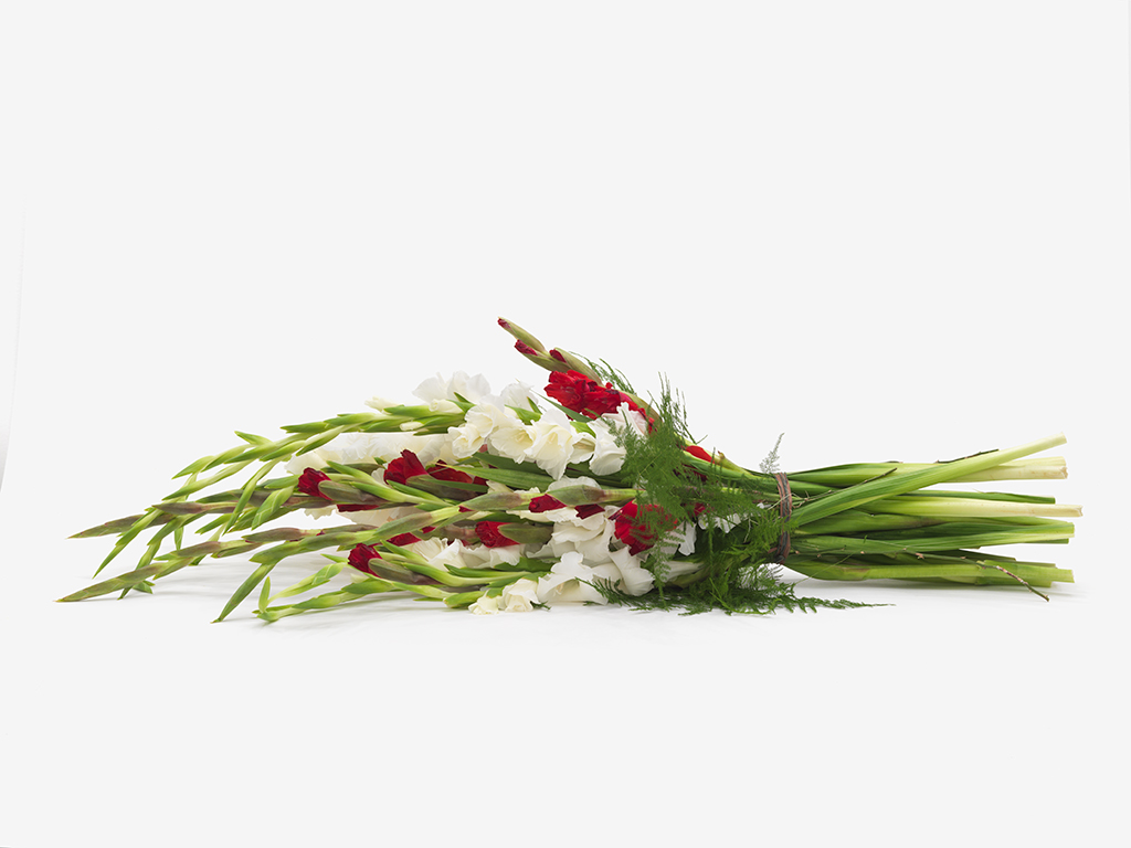 Flowers for Africa | OR Gallery