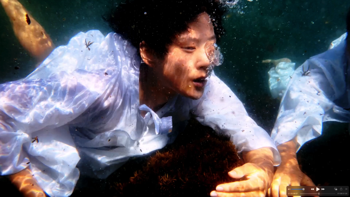 Unmoored, Adrift, Ashore Companion Screening | OR Gallery